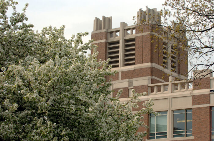 An update from Dr. Deirdre Dempsey, chair of the Dean of Libraries ...