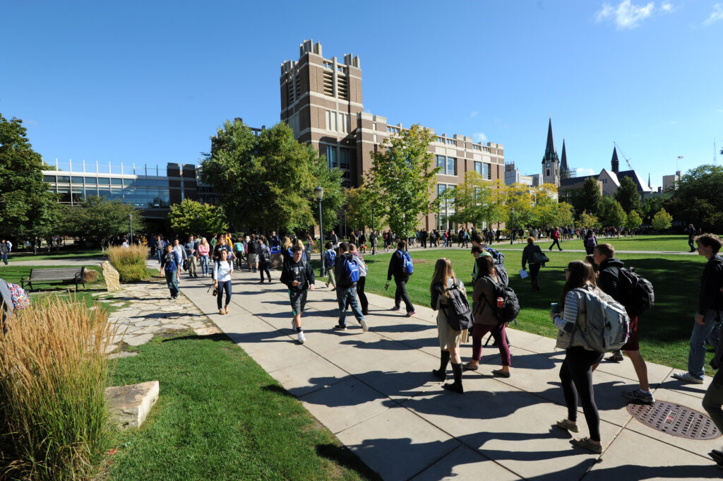 Dr. Tara Baillargeon named permanent dean of university libraries ...