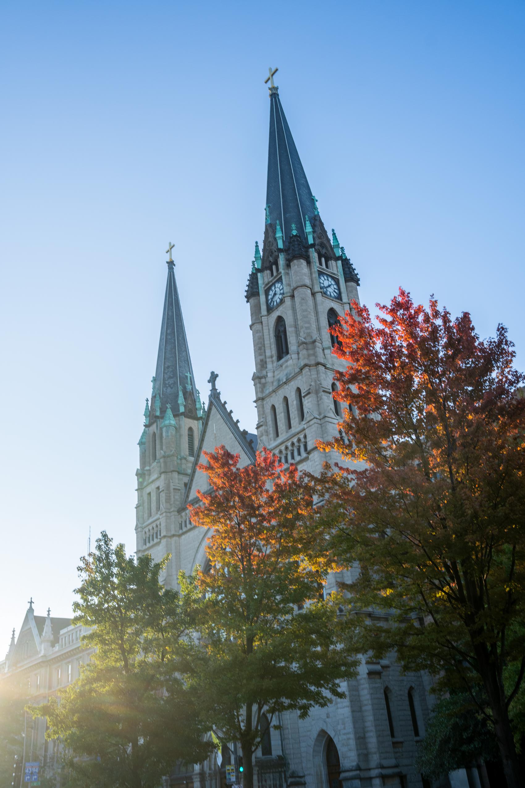 An urban oasis: Online map identifies native trees on Marquette’s ...