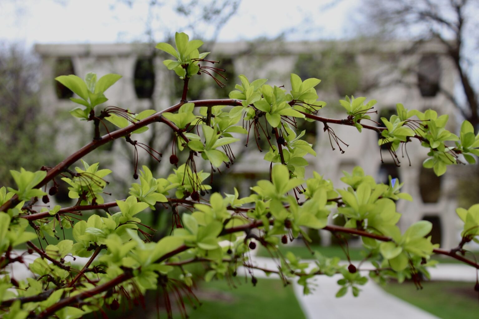 Care for our Common Home | Marquette Today