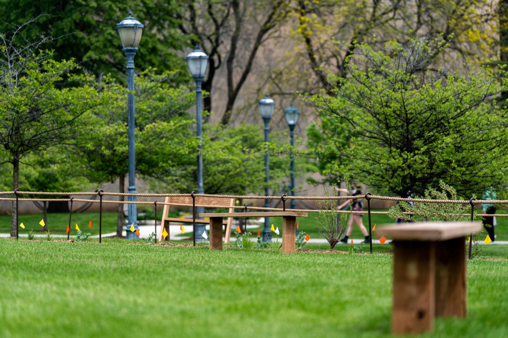 Going wild for wildflowers: Marquette’s pocket prairies initiative ...