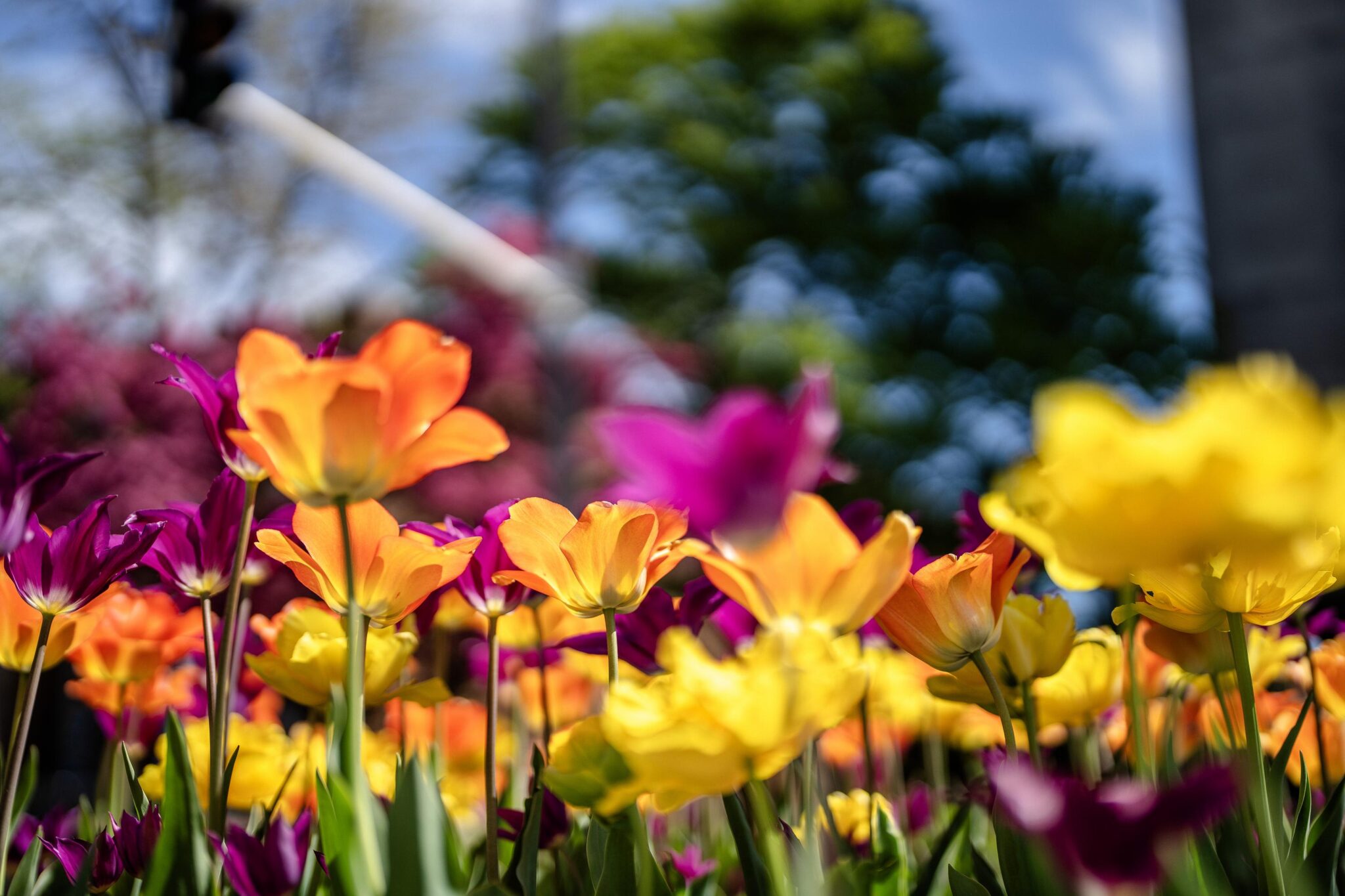 Spring Break | Marquette Today