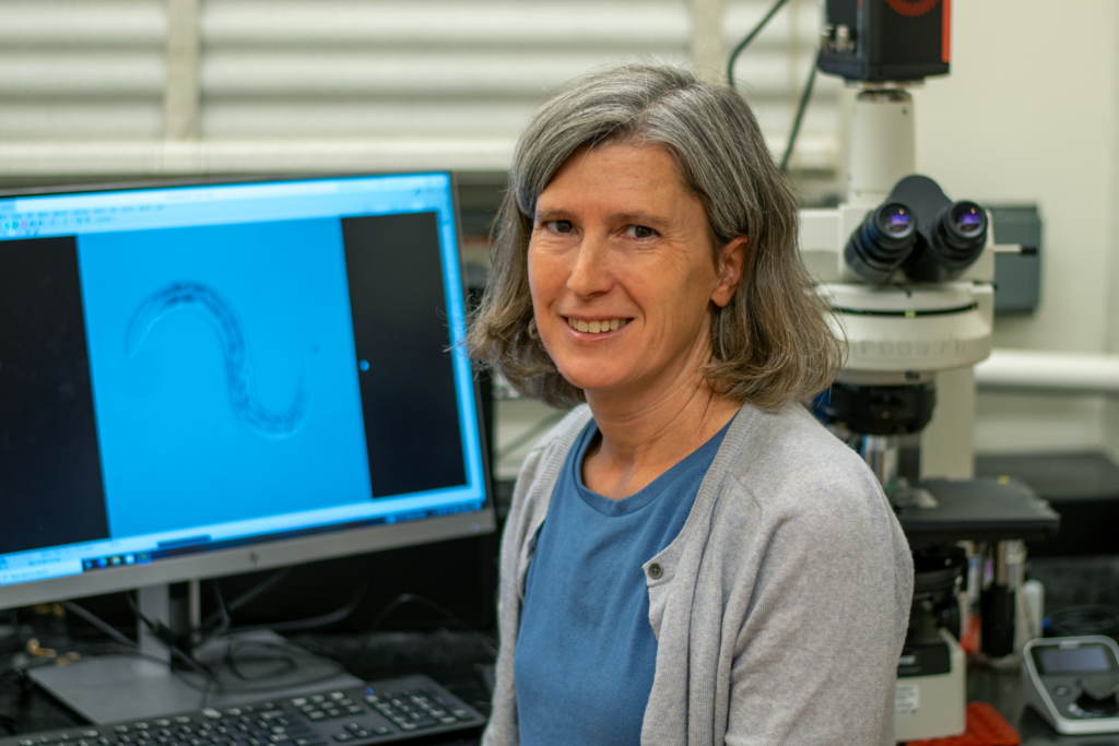 Exploring the impact of microRNAs with Dr. Allison Abbott | Marquette Today