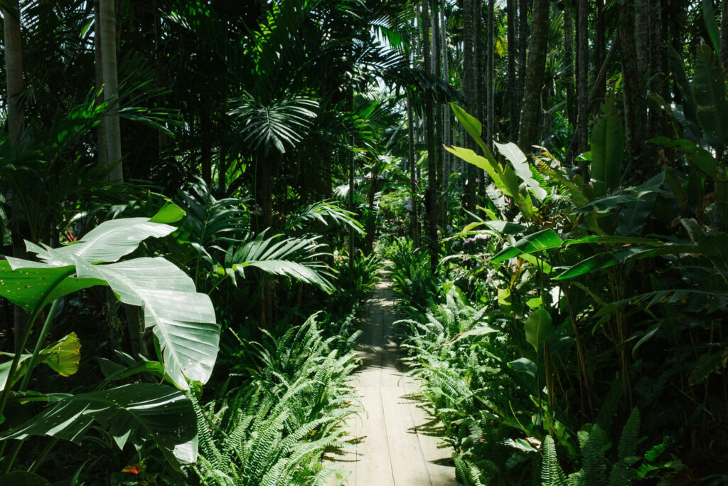 Marquette researchers find evidence to explain the maintenance of ...