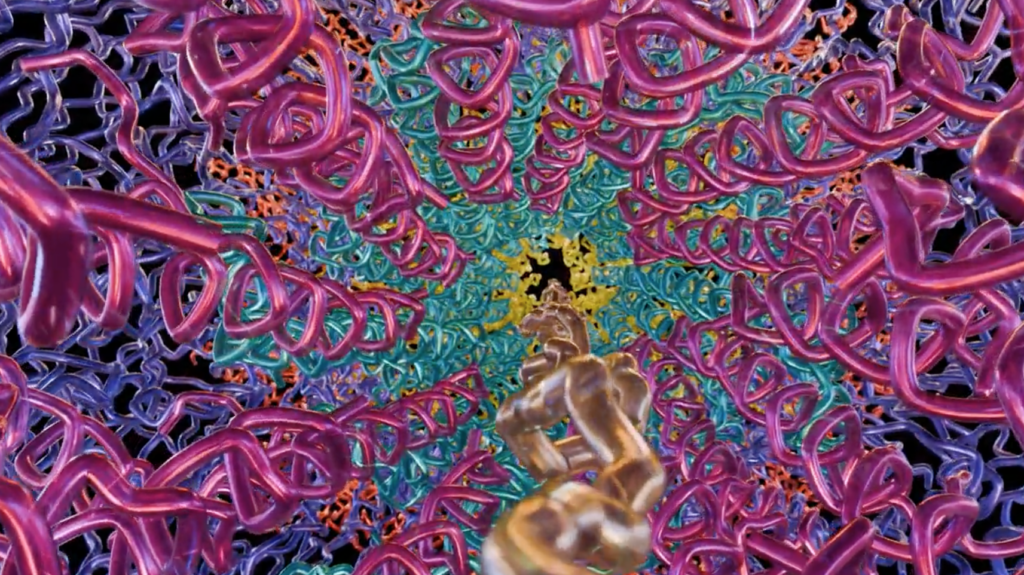 Imagination equation gallery talk at the Haggerty Museum of Art, Feb. 6 ...