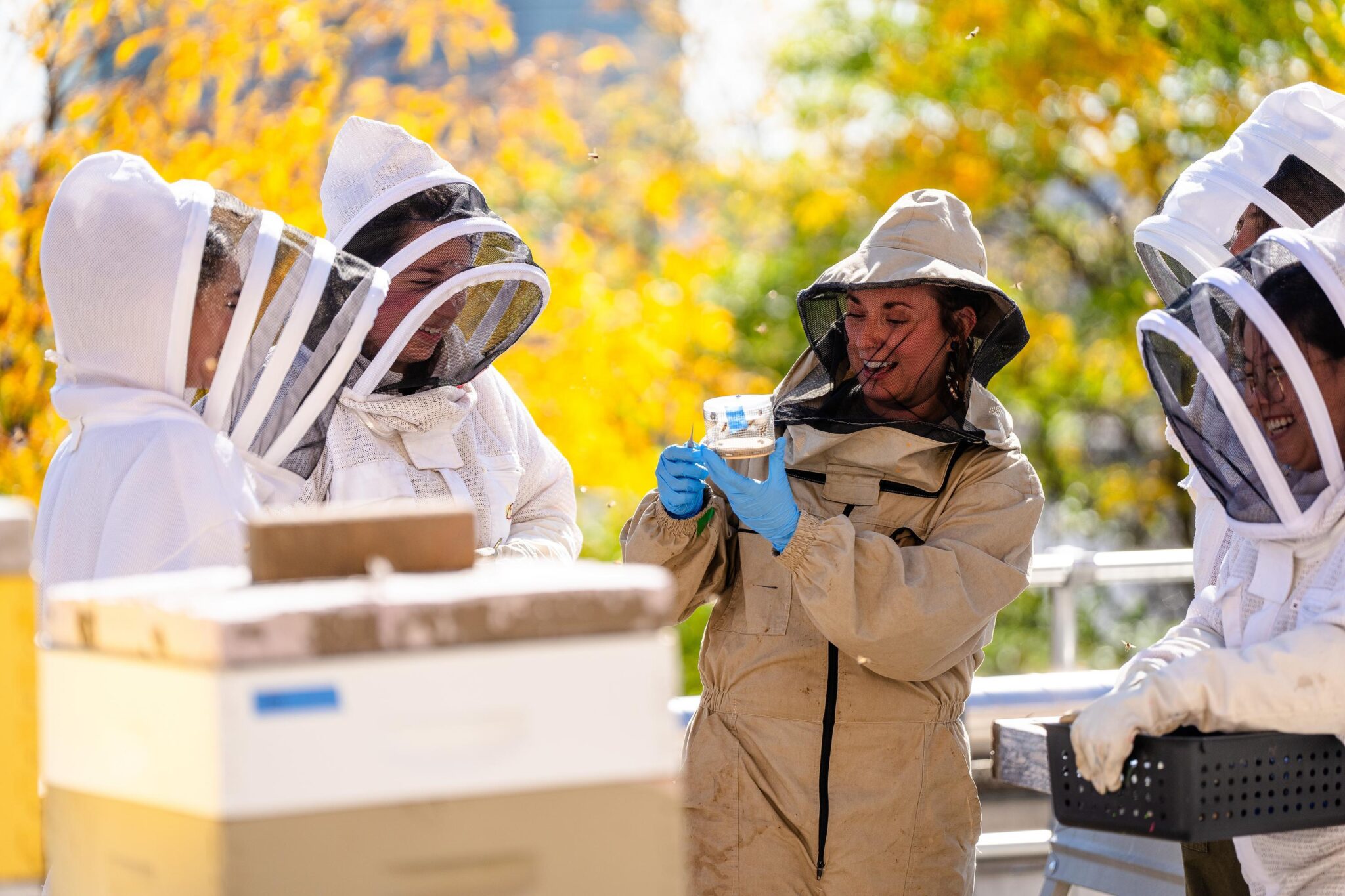 Marquette researchers find common agricultural antibiotic disrupts ...