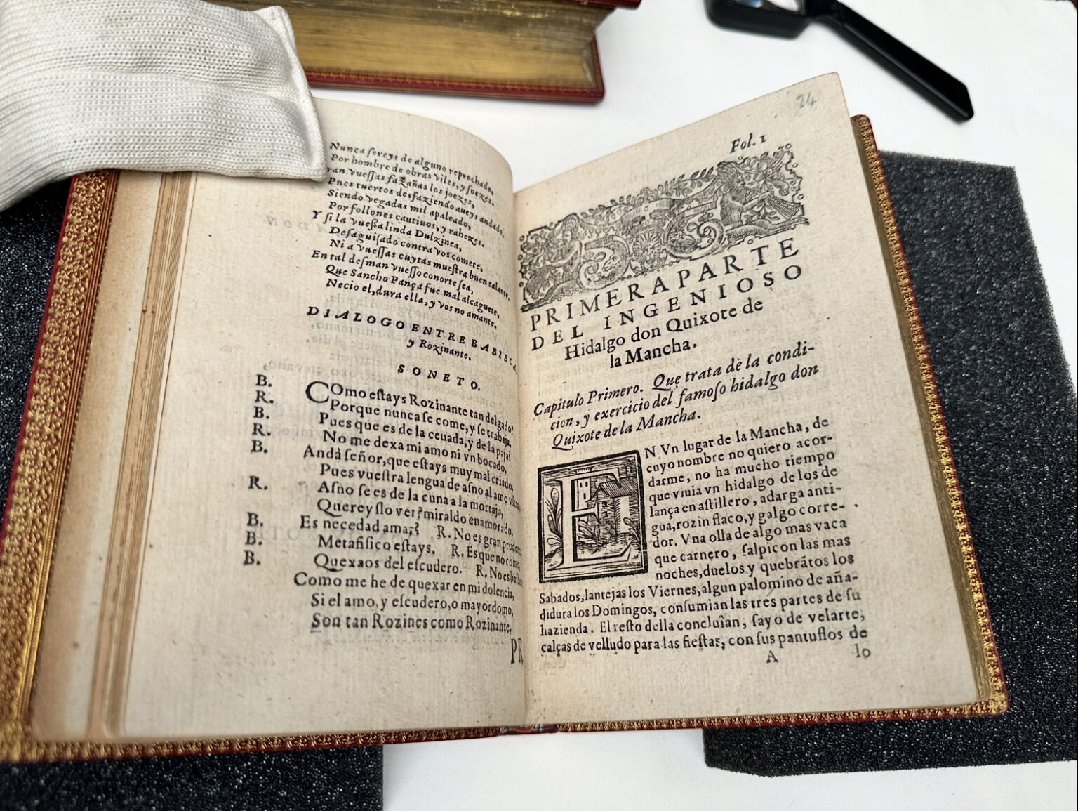 Picture This: A Research & Scholarship Photo Contest 2025 winners ...