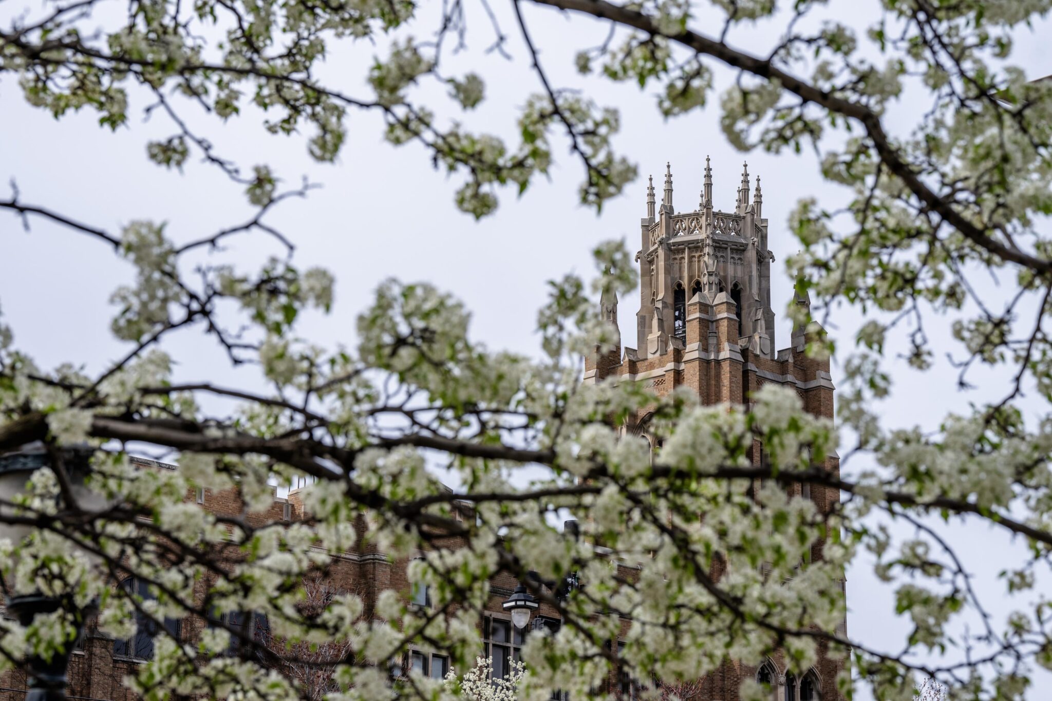 Marquette 2031: Spring strategic plan implementation highlights ...