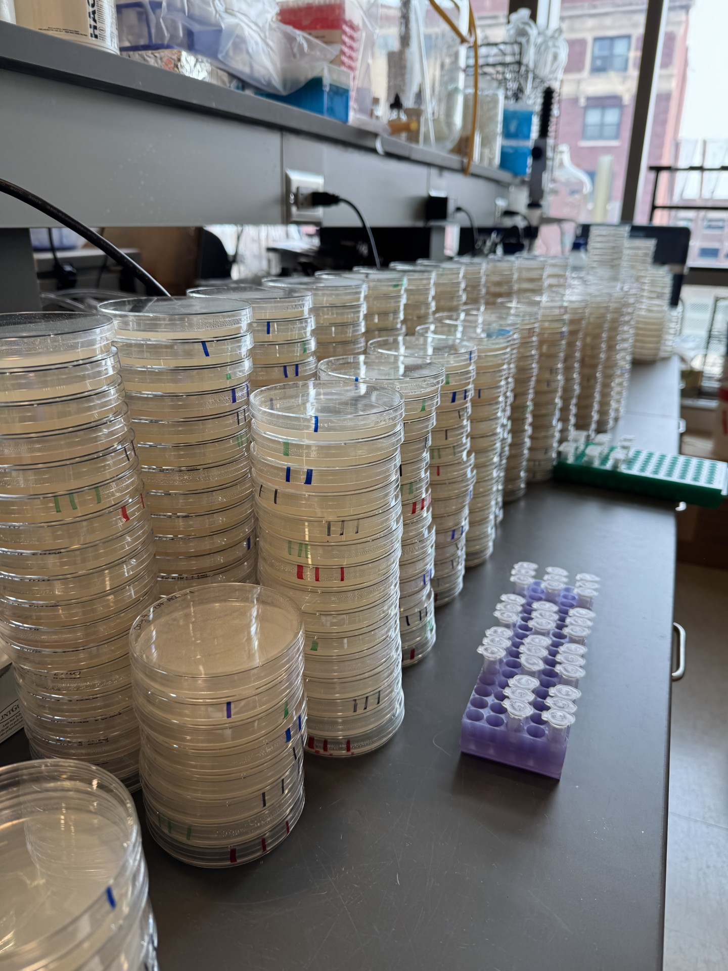 Sparking curiosity: Summer engineering undergraduate research spotlight ...