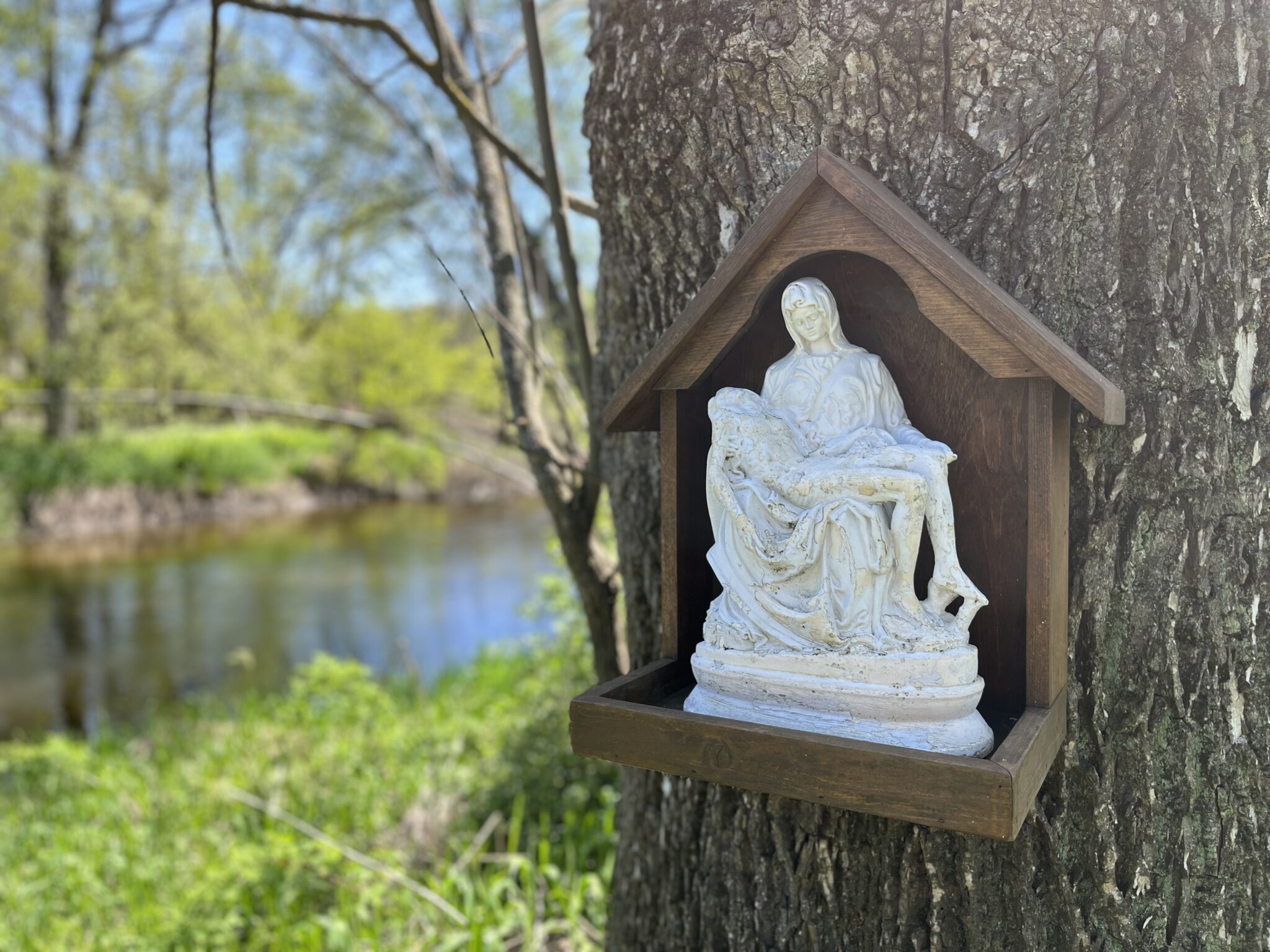 AIM program focuses on disruptive excellence with support of alumni ...