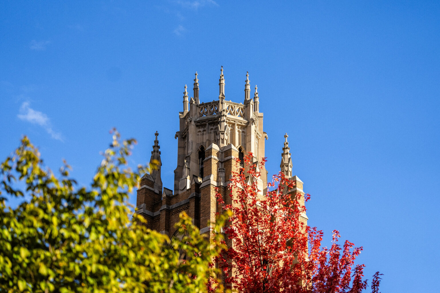 Securing Our Future update: Themes, timeline for college reorganization ...