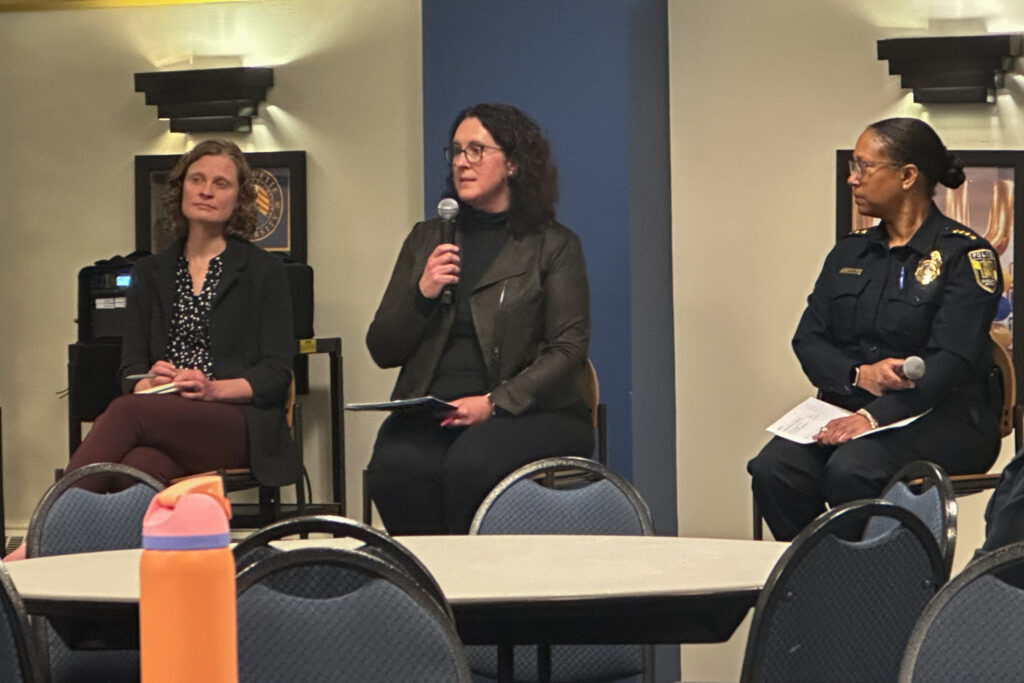 Get to Know: Wisconsin Supreme Court candidate Maria Lazar, Feb. 17 ...